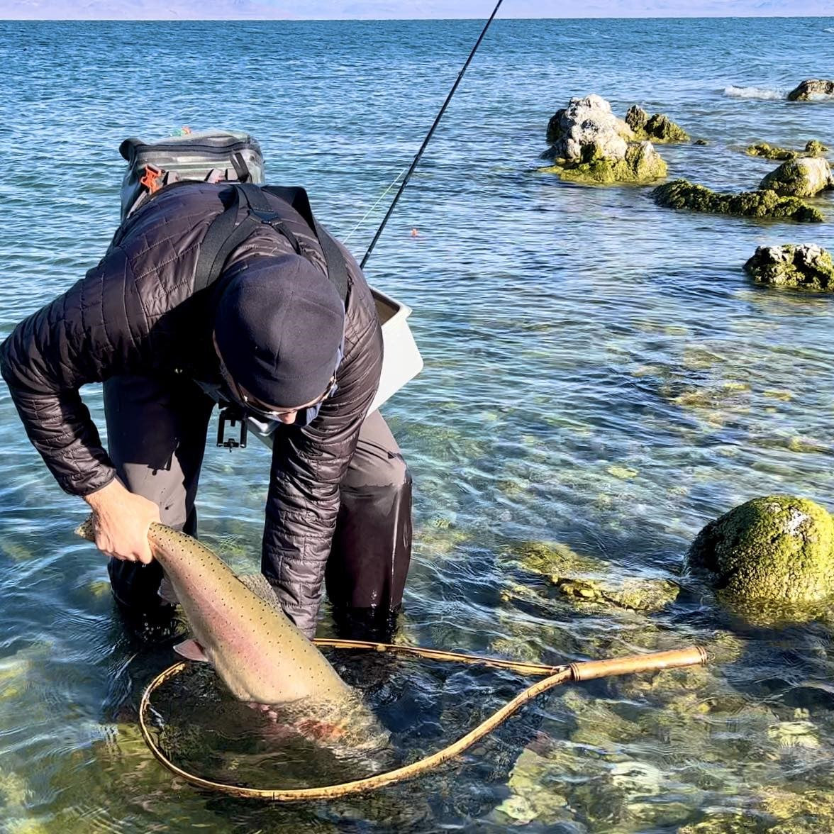 The Big Ass Net - 19" x 29" Hoop - Custom Handle Lengths – Hellbender Nets